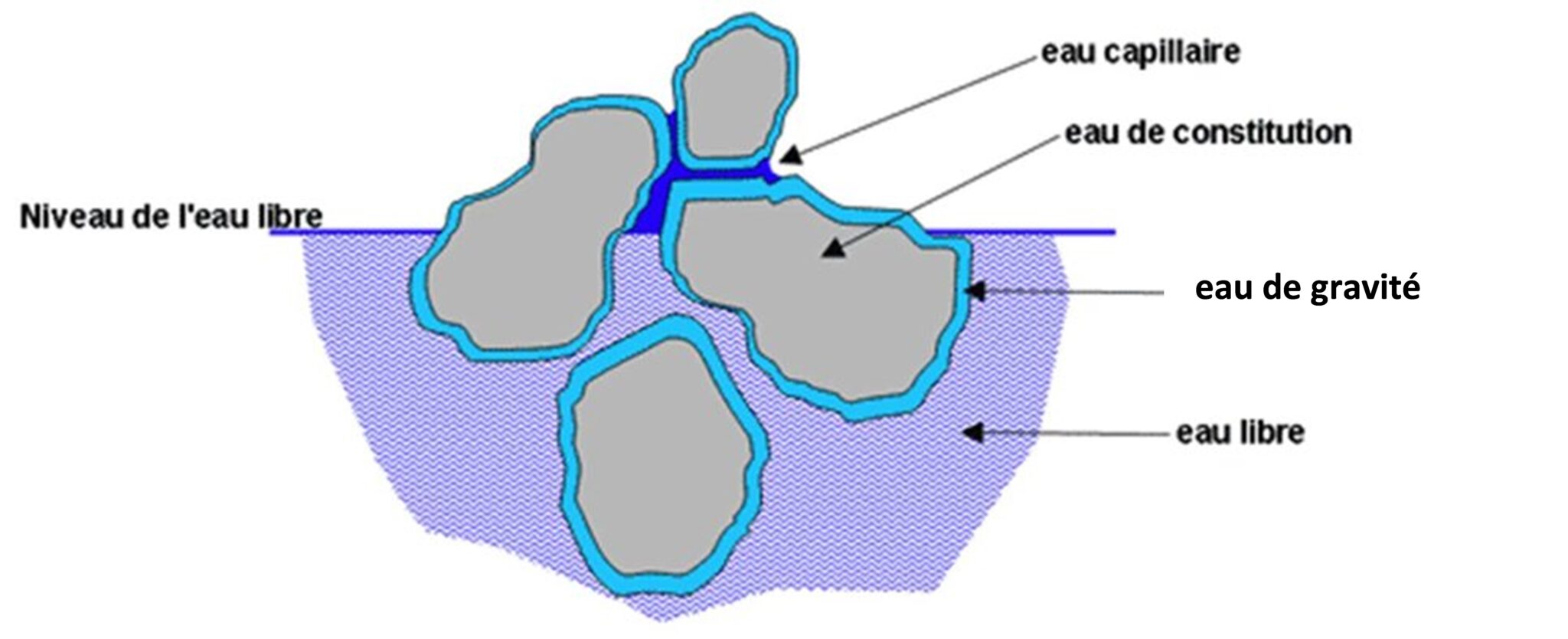 Améliorer l’efficience de l’eau d’irrigation grâce au pilotage ...